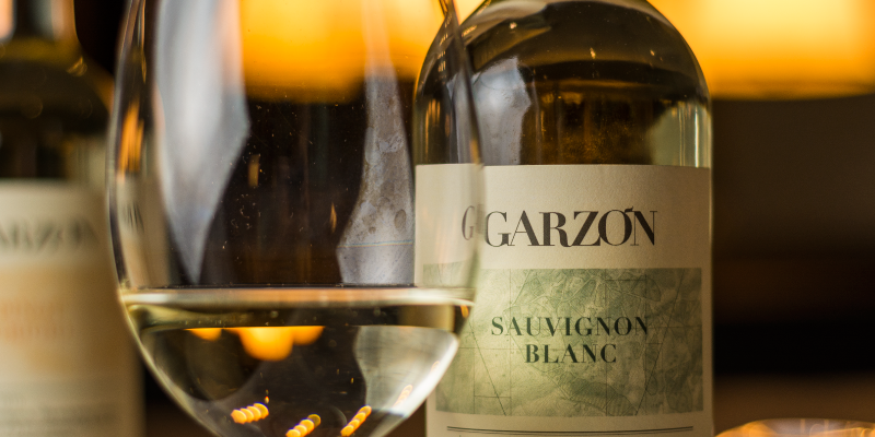 Wine guide - Bodega Garzón