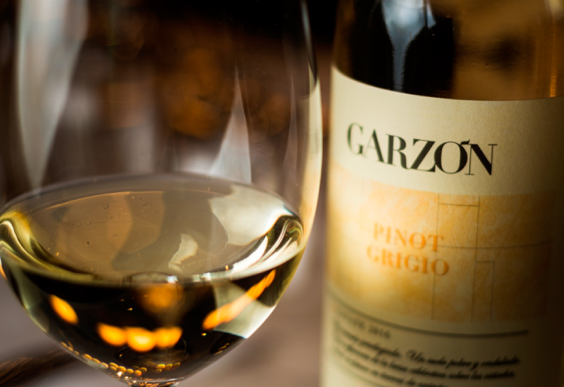 Vinos frescos. Una selección de vinos ideales para el verano